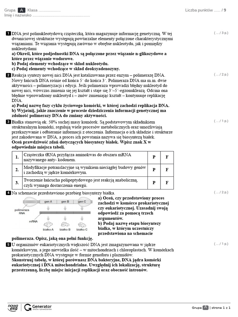 Test - Genetyka Molekularna Test (Z Widocznä Punktacjä ) | PDF