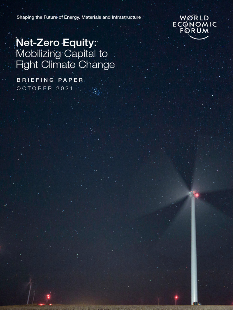 WEF Net Zero Equity Mobilizing Capital To Fight Climate Change 2021 ...