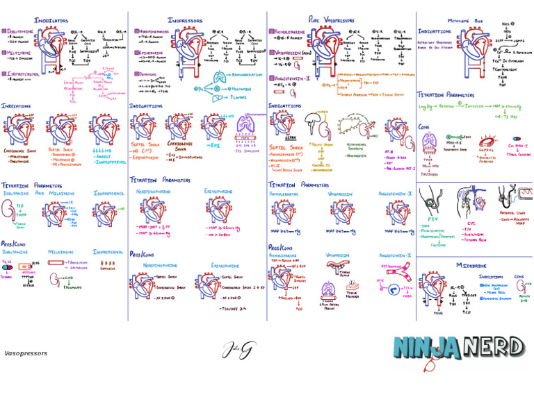 Vasopressors Illustration Atf | PDF