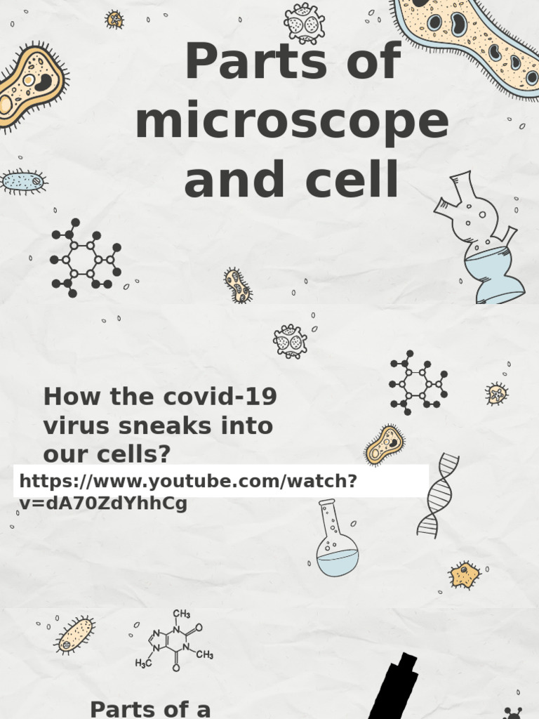 Cell and Microscope g7 | PDF | Lenses | Optics