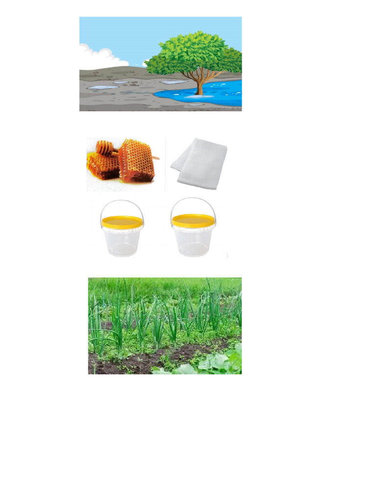 Agnu Pictures | PDF