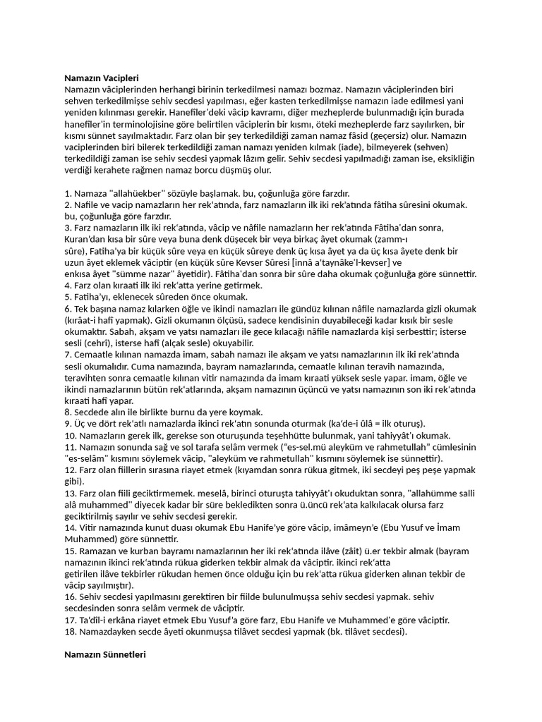 Namaz Vacip, Sünnet Ve Mekruhları | PDF