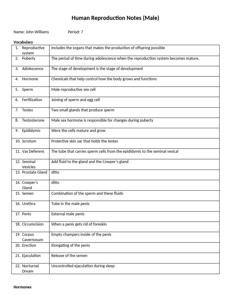 Male Reproductive System Overview | PDF | Reproductive System | Testicle