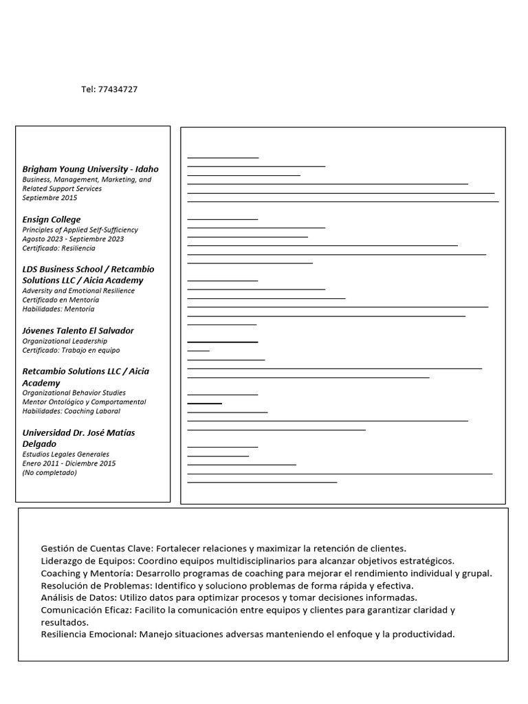 Curriculum Daniel Actualizado | PDF | Business