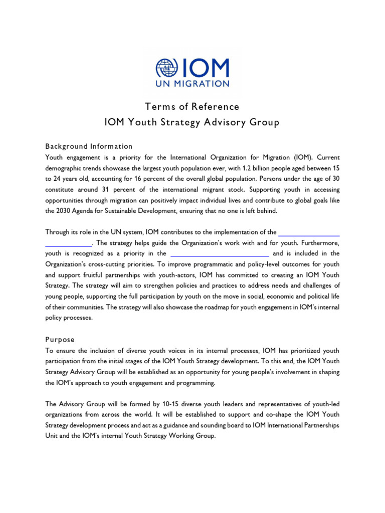 IOM Youth Strategy Advisory Group Formation | PDF | International ...