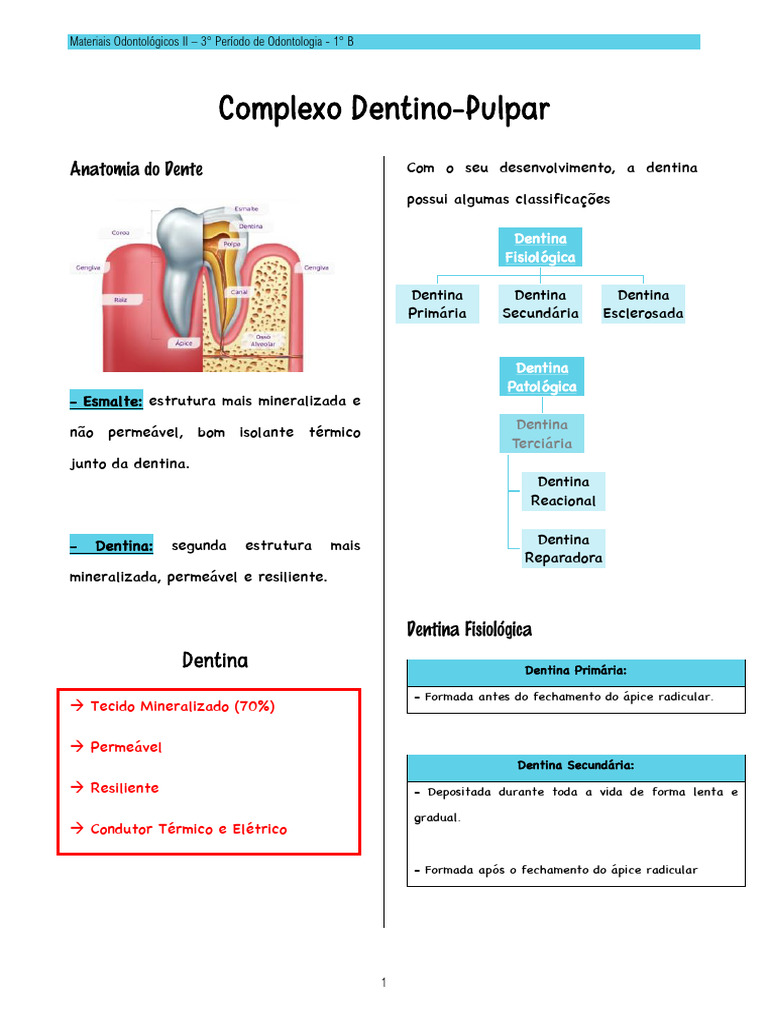 Dentina e Complexo Dentino-Pulpar | PDF | Dentina | Cálcio