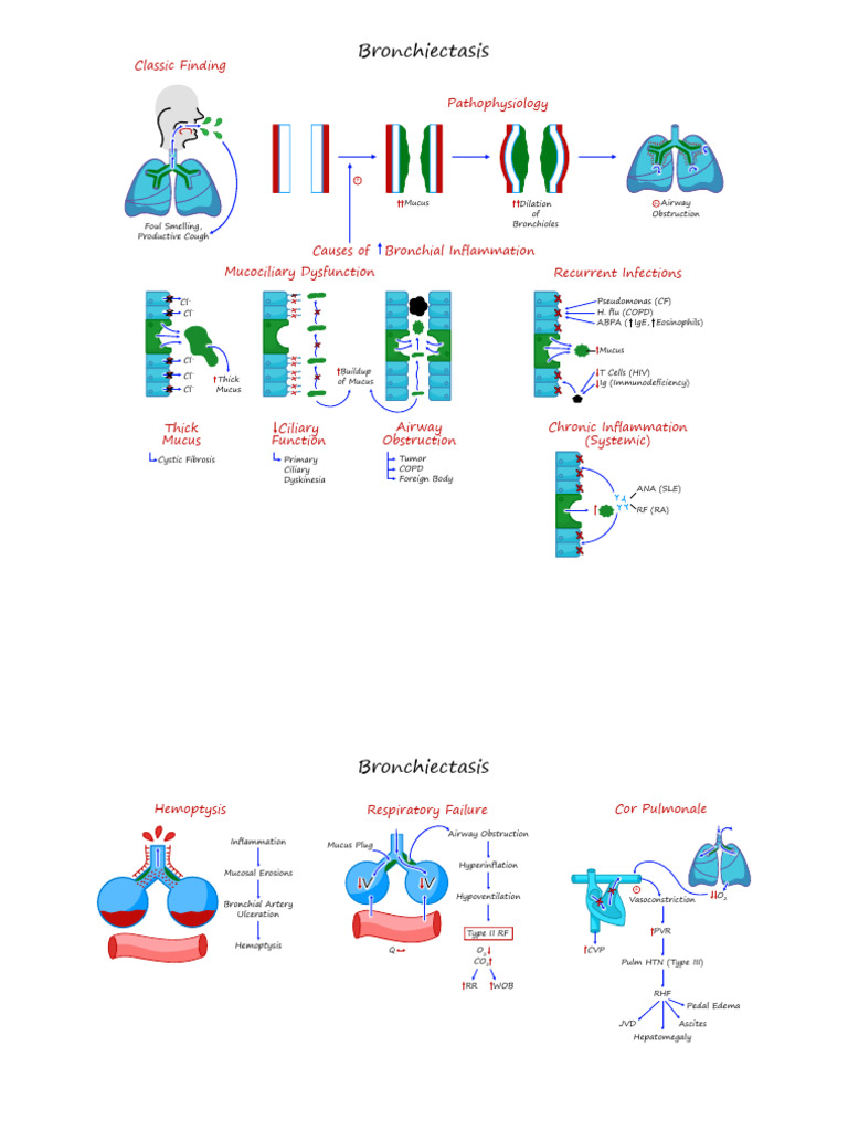 2 - Bronchiectasis (Illustrations Key) | PDF | Respiratory Tract ...