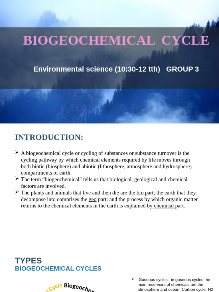Biogeochemical Cycles Group-3 - 101556 | PDF | Soil | Carbon Cycle