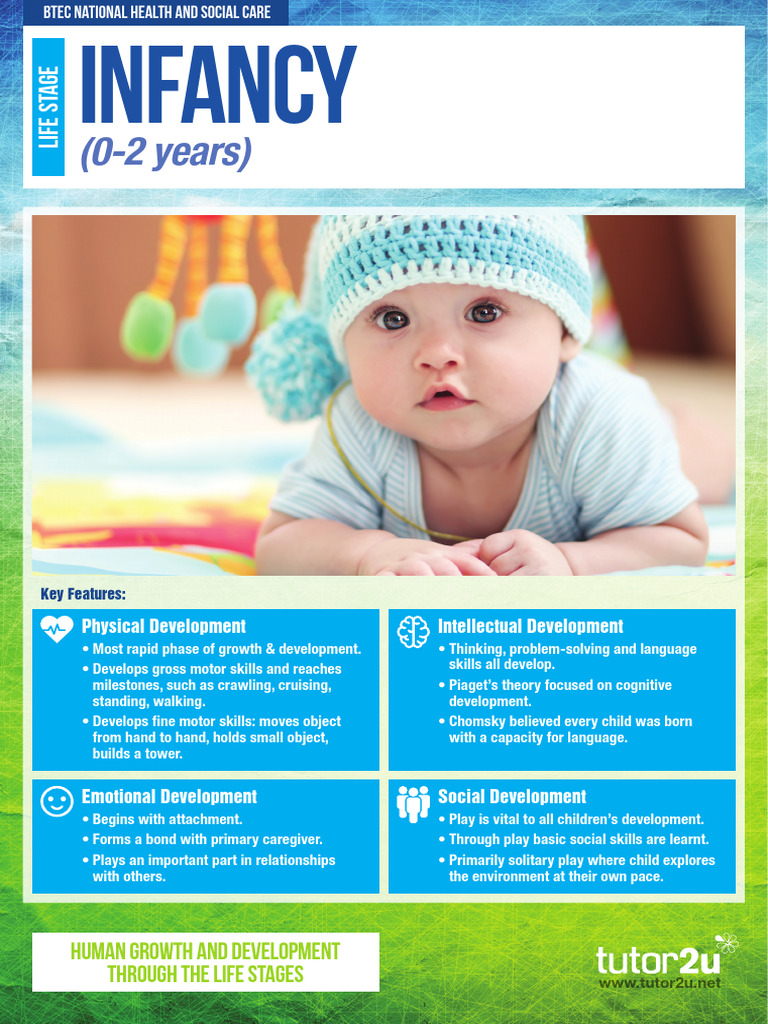 Tutor2u BTEC HSC Unit 1 Life Stages Posters | PDF | Adolescence ...