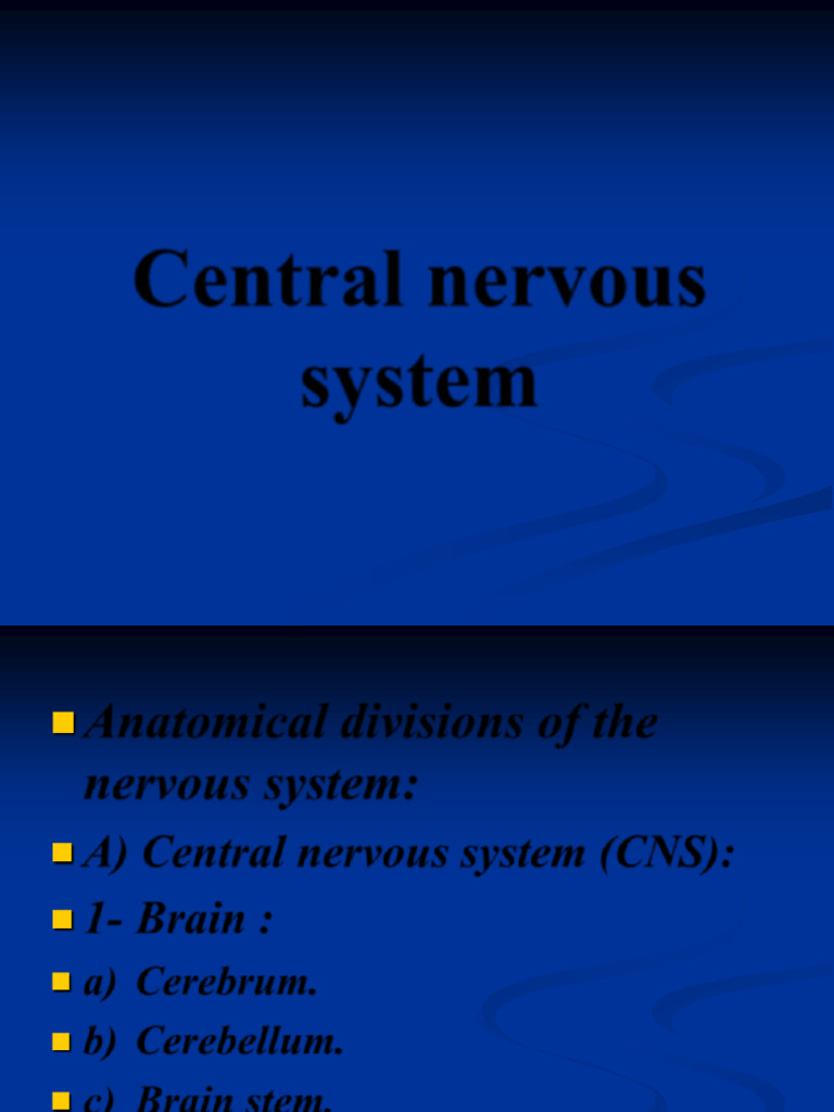 central nervous system | PDF | Central Nervous System | Autonomic Nervous System