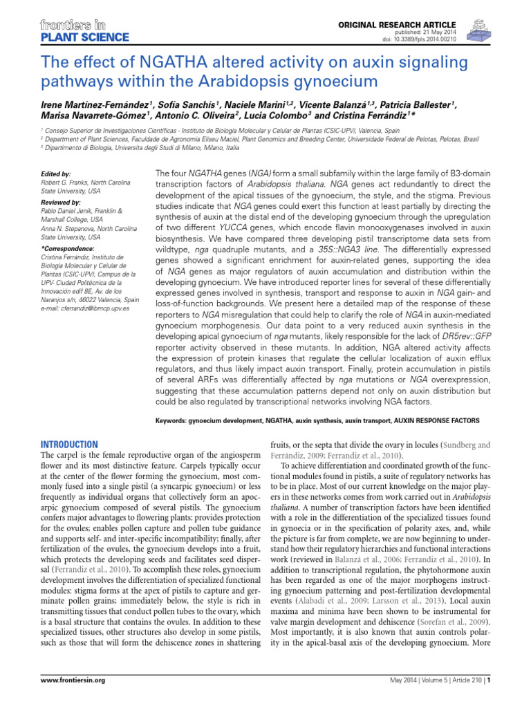 NGA, Frontiers in Plant Science, 2014 | PDF | Auxin | Plant Reproduction