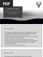 Dermatomas y Miotomas: Inervación Sensitiva | PDF | Sistema nervioso ...