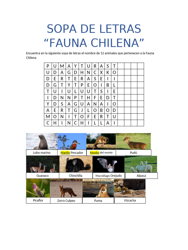 Sopa de Letras Fauna Chilena | PDF