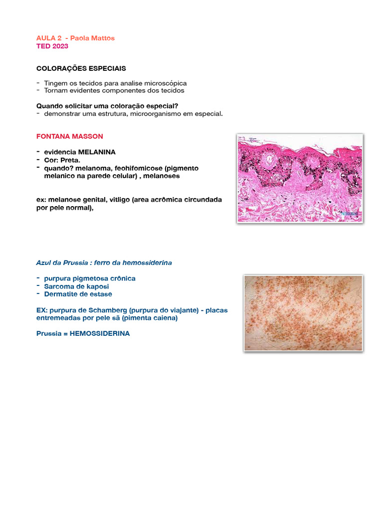 Resumo TED 2023colorações Especiais - Paola Mattos | PDF | Colágeno