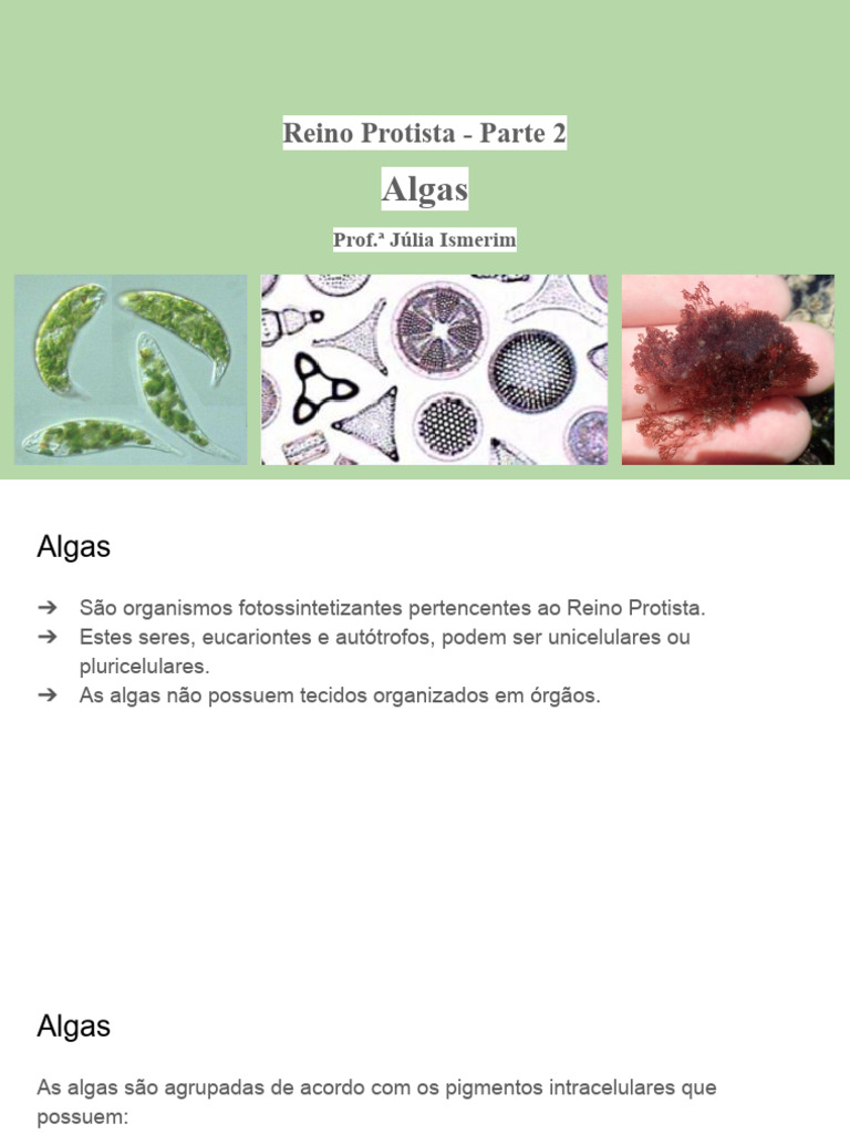 Reino Protista - Parte 2 Algas | PDF | Algas | Organismos