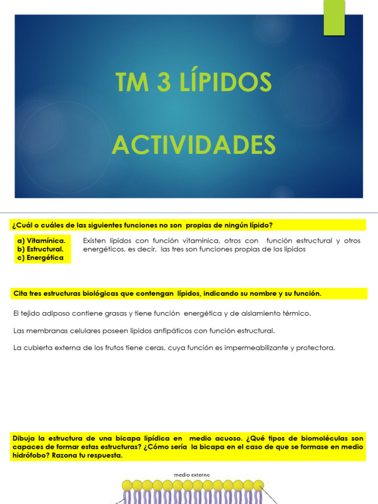 TM 3 Actividades Lípidos | PDF | Lípido | Membrana celular
