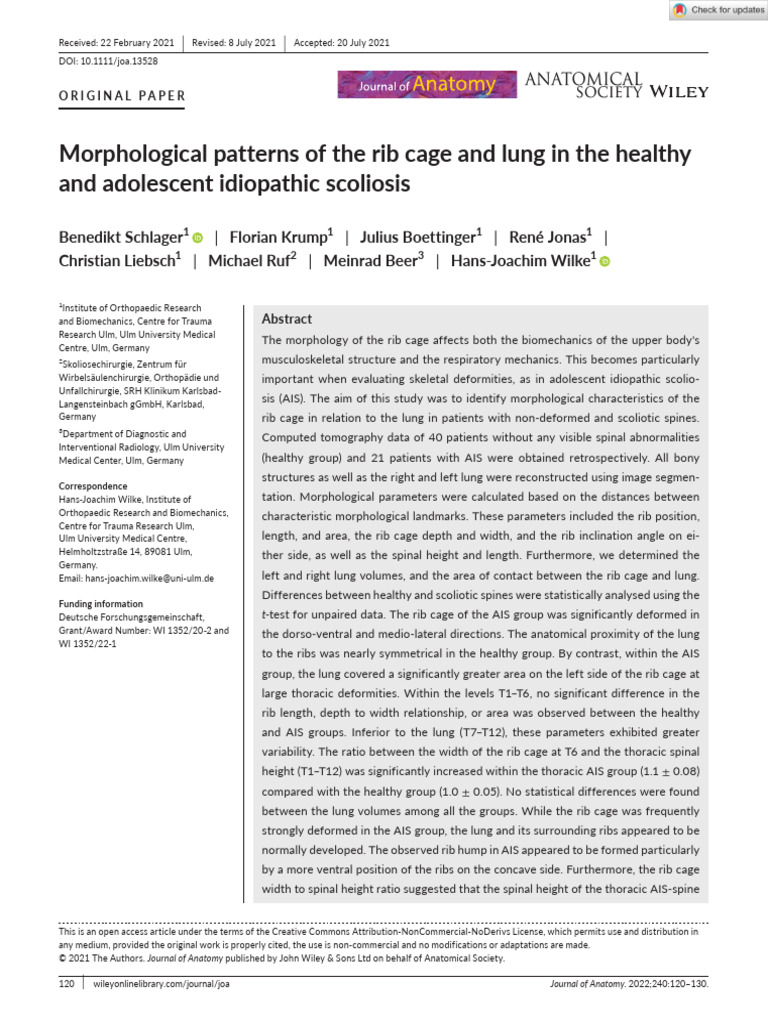 Morphological Patterns of The Rib Cage and Lung in The Healthy and ...