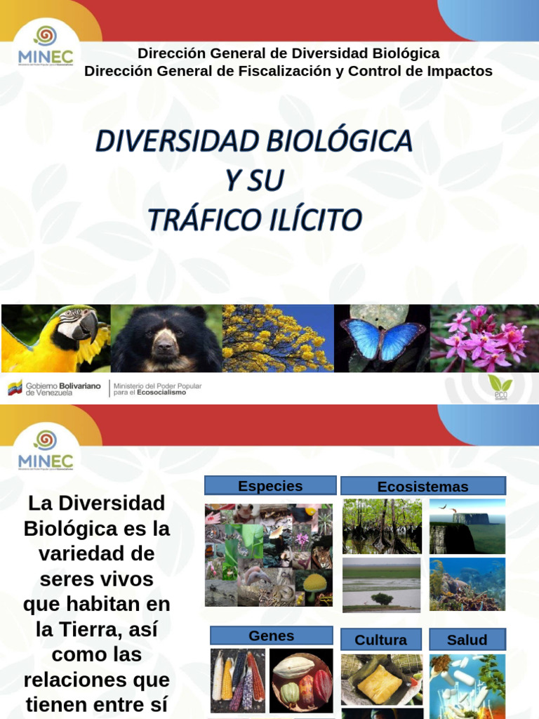 La Diversidad Biológica y Su Tráfico para Formadores Comunitarios | PDF ...