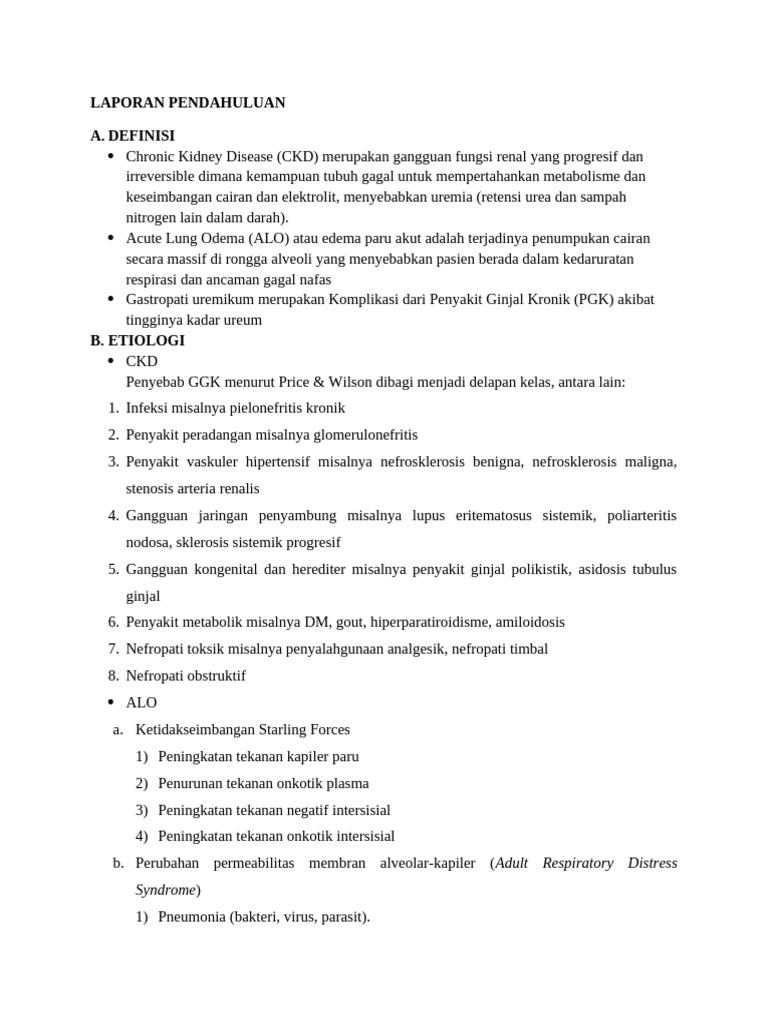 Inka LP ICU - 050206 | PDF