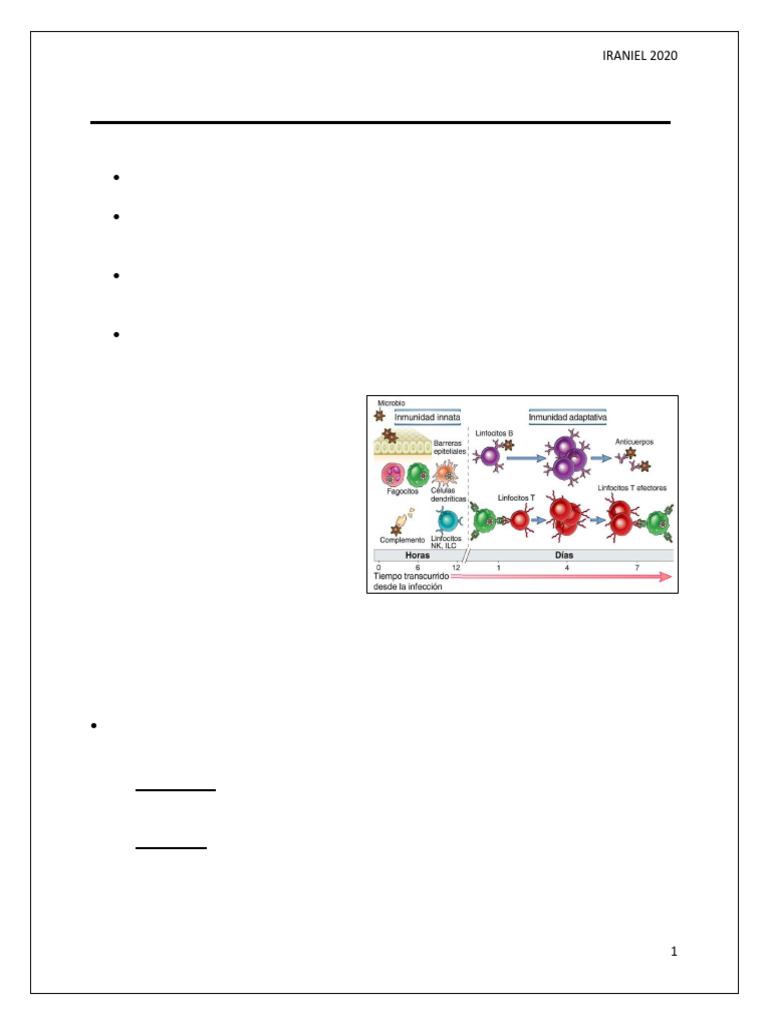Respuesta Inmune A Microorganismos | PDF | Sistema inmune | Sistema complementario