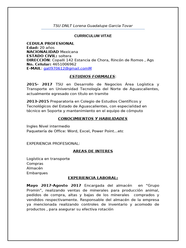 CV Lorena Garcia Tovar - Logística y Transporte | PDF