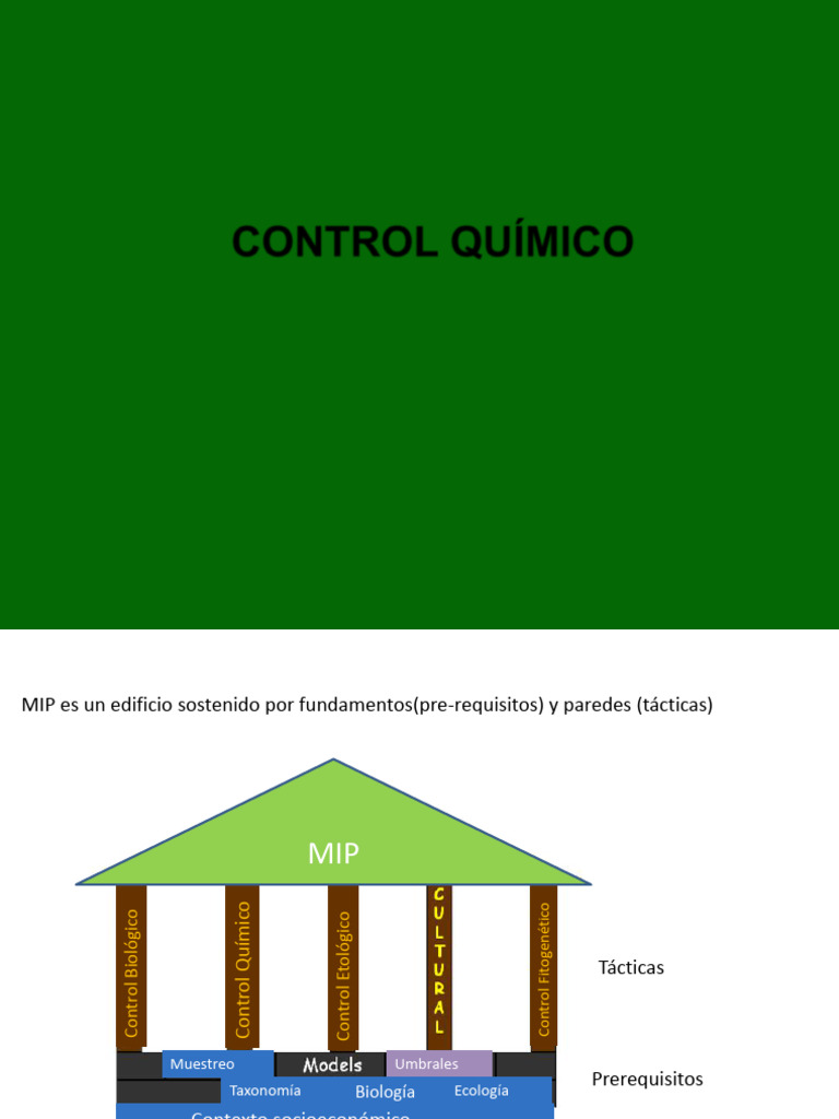 Clase8A.Control Químico | PDF | Sinapsis | Potencial de acción
