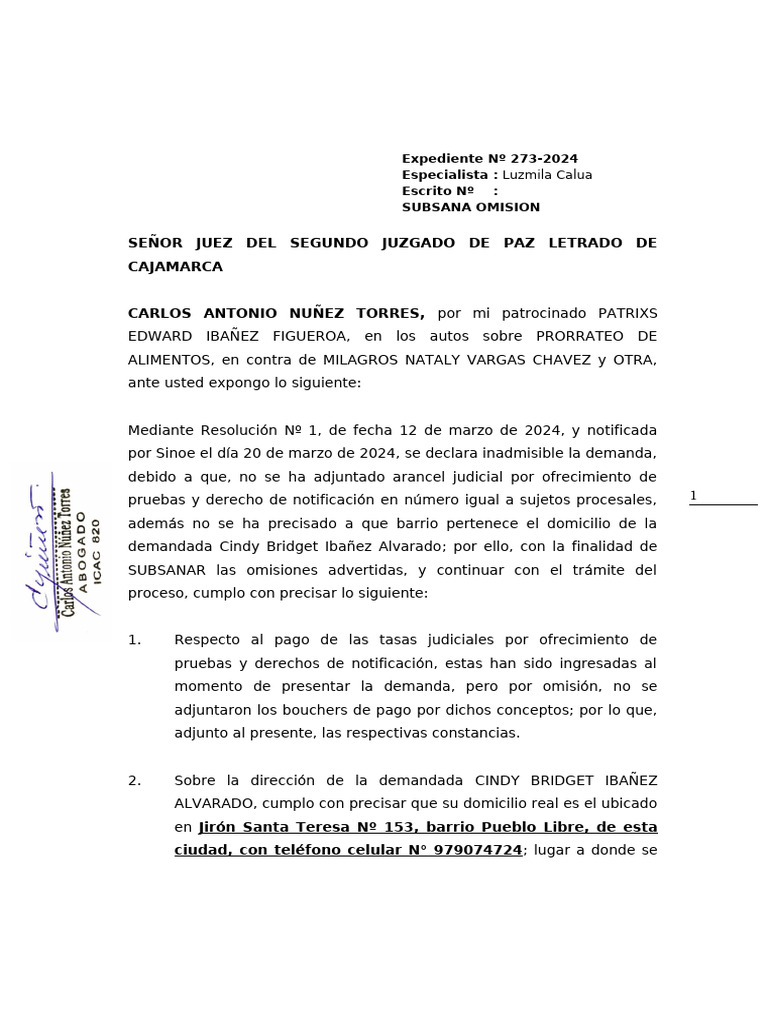 Subsana Omision | PDF