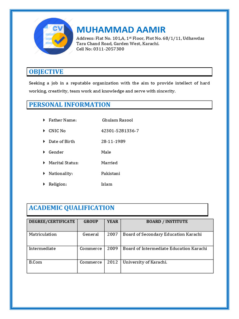 CV Muhammad Aamir | PDF