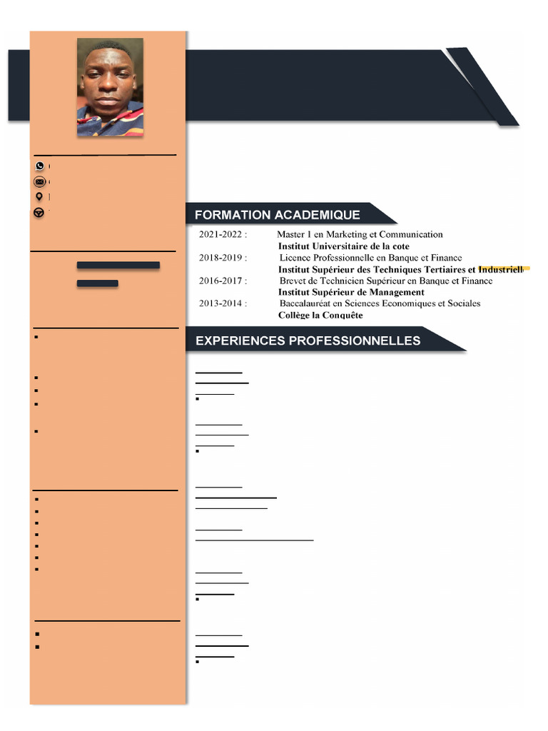 CV de Franck Virgile Dipoko - Marketing et Banque | PDF | Banques ...