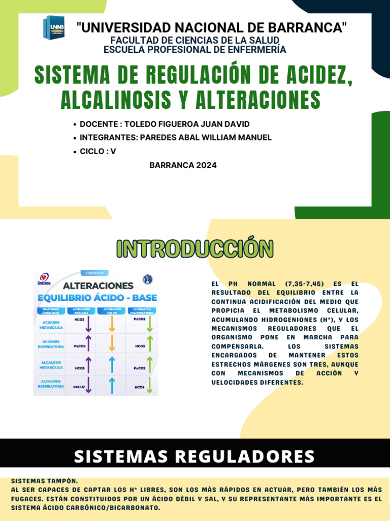 Sistemas Reguladores de Acidobasico | PDF | Especialidades Medicas