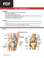 Protocolo de Abdomen (RX) | PDF | Abdomen | Medicina CLINICA