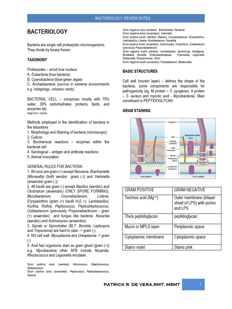 Micro Notes Merged | PDF | Gram Positive Bacteria | Bacteria