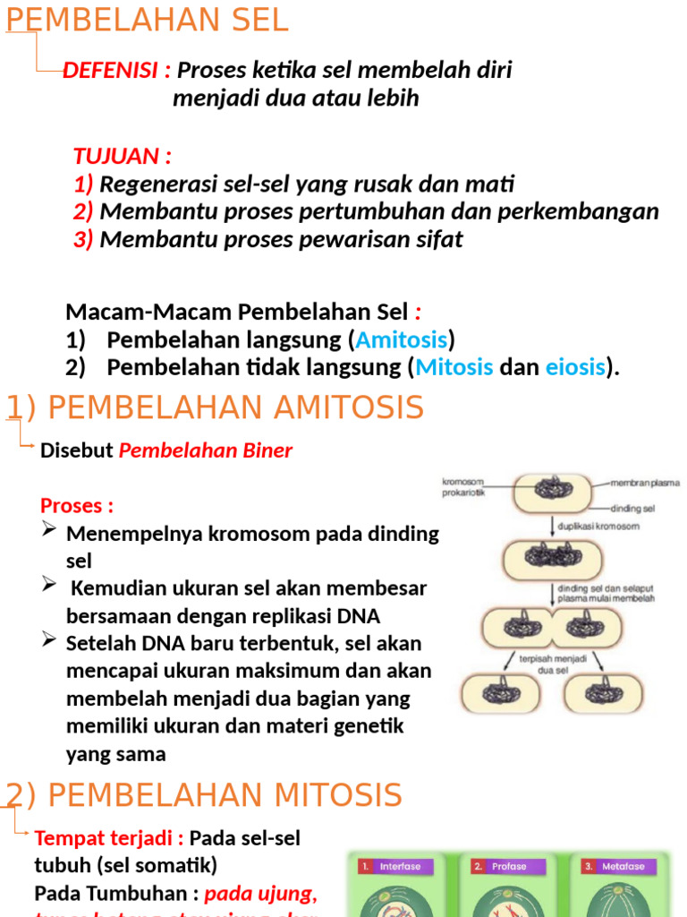 Pembelahan Sel | PDF | Kajian Bahasa Asing | Sains & Matematika