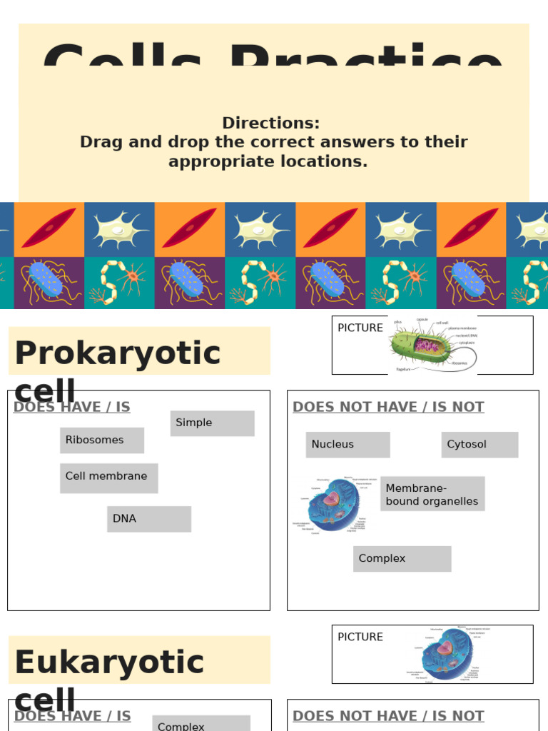 Samrudh Arunkumar - Digital Cells Practice | PDF