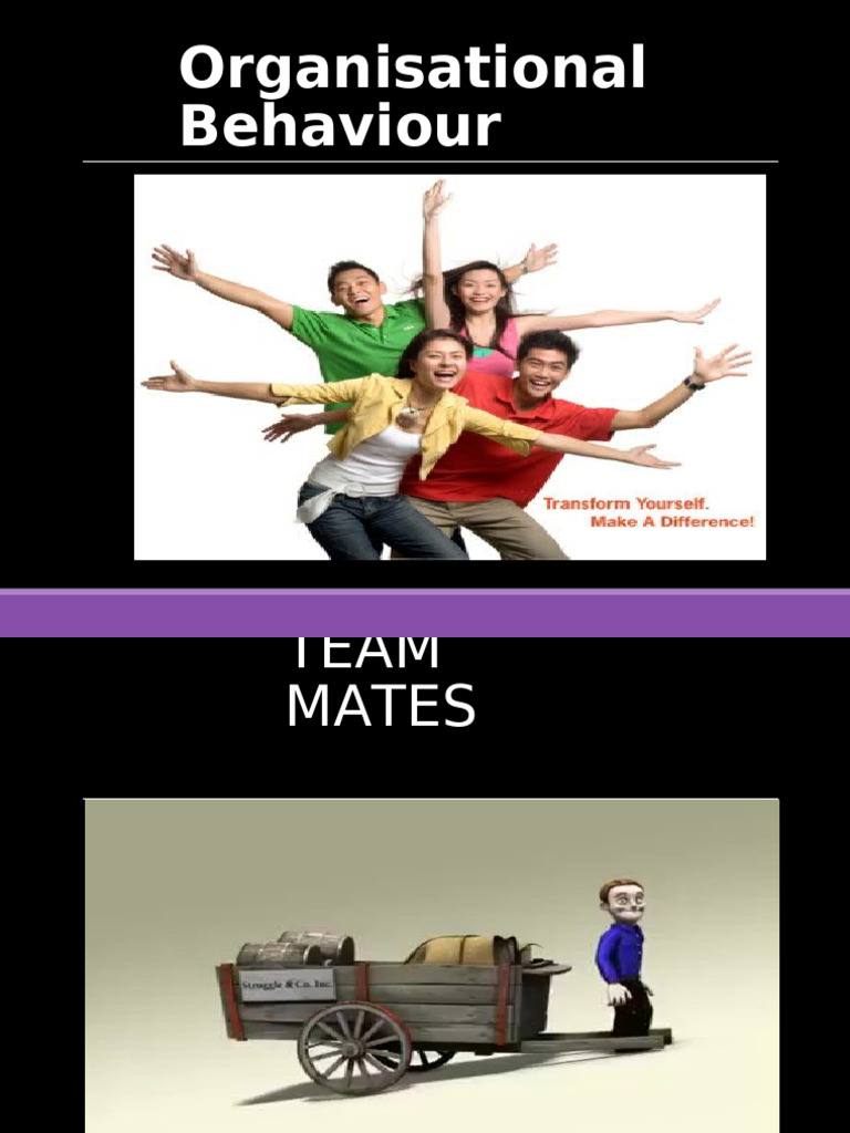 O B Chapter 1 | PDF | Behavior | Behavioural Sciences