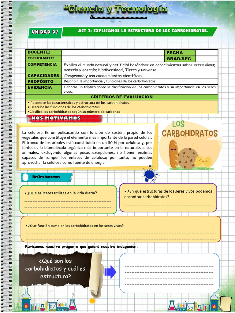 B-3º Act 2 Cyt Und 7 | PDF | Carbohidratos | Glucosa