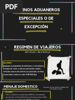 Destinos Aduaneros Especiales o de Excepción | PDF | aduana | Aeropuerto