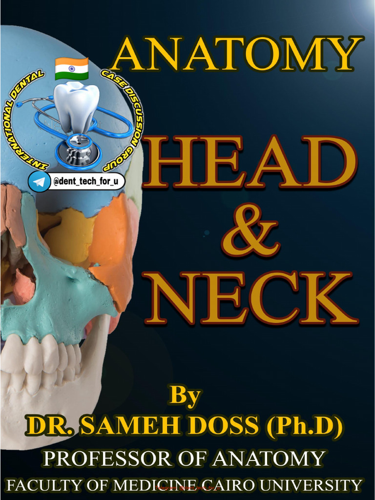 SD Head & Neck | PDF | Skull | Skeletal System