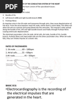 12 Lead ECG Placement Guide | PDF | Cardiology