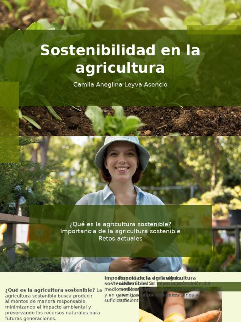 Sustainable Agriculture Project Proposal XL by Slidesgo | PDF ...