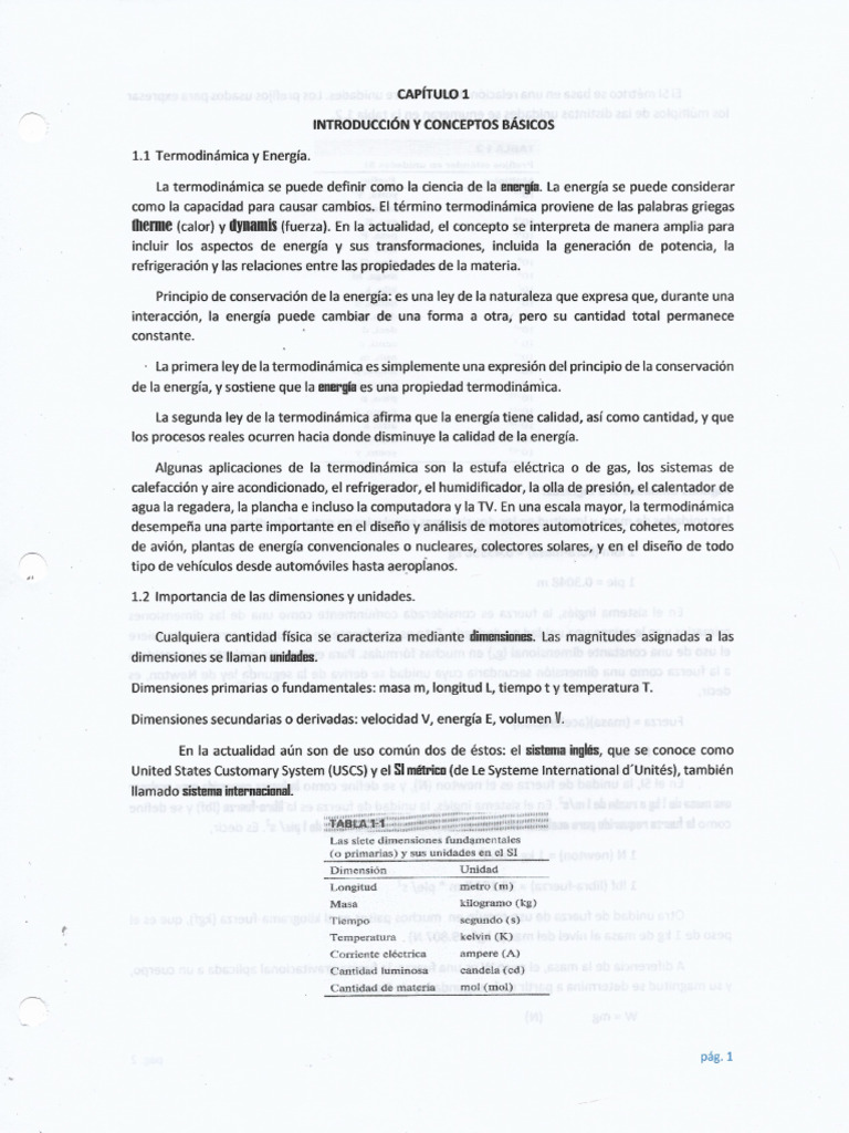 Capitulo 1 - Introducción y Conceptos Básicos | PDF