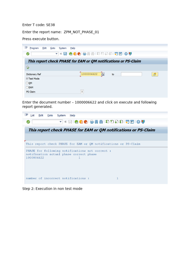 Execute ZPM_NOT_PHASE_01 Report Steps | PDF | Finance & Money Management