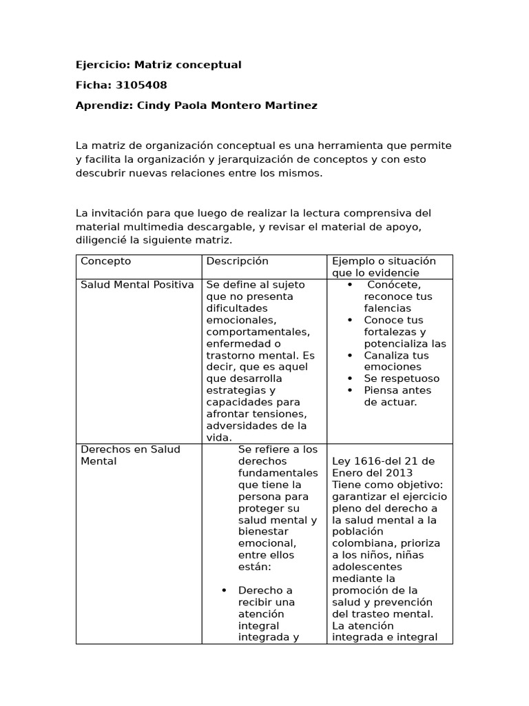 Matriz Conceptual | PDF | Salud mental | Mente