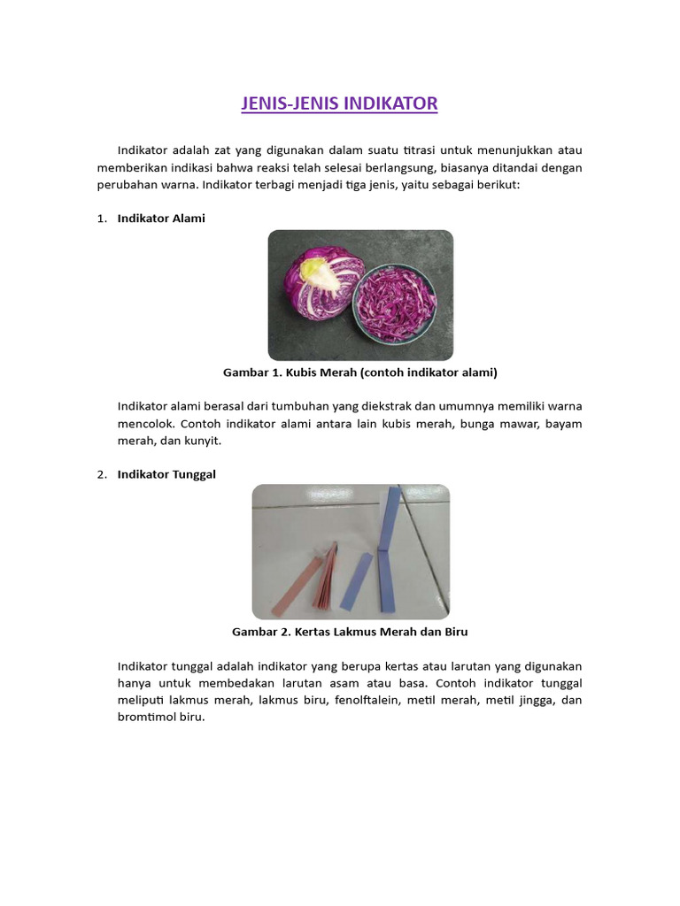 Jenis-Jenis Indikator | PDF