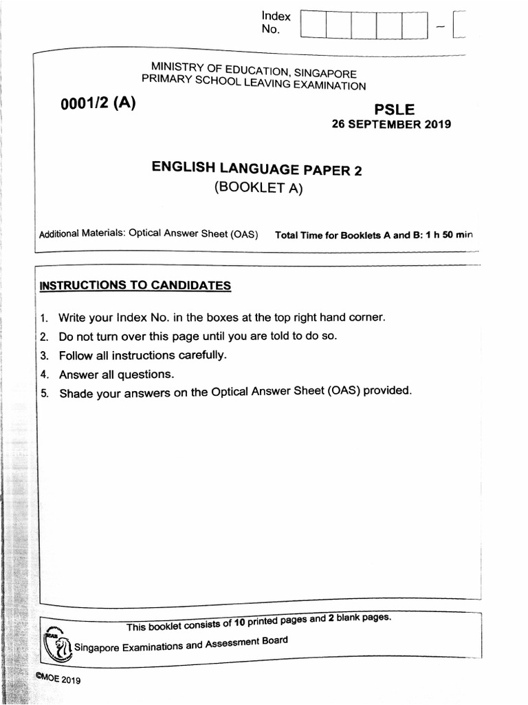 PSLE English 2019 | PDF