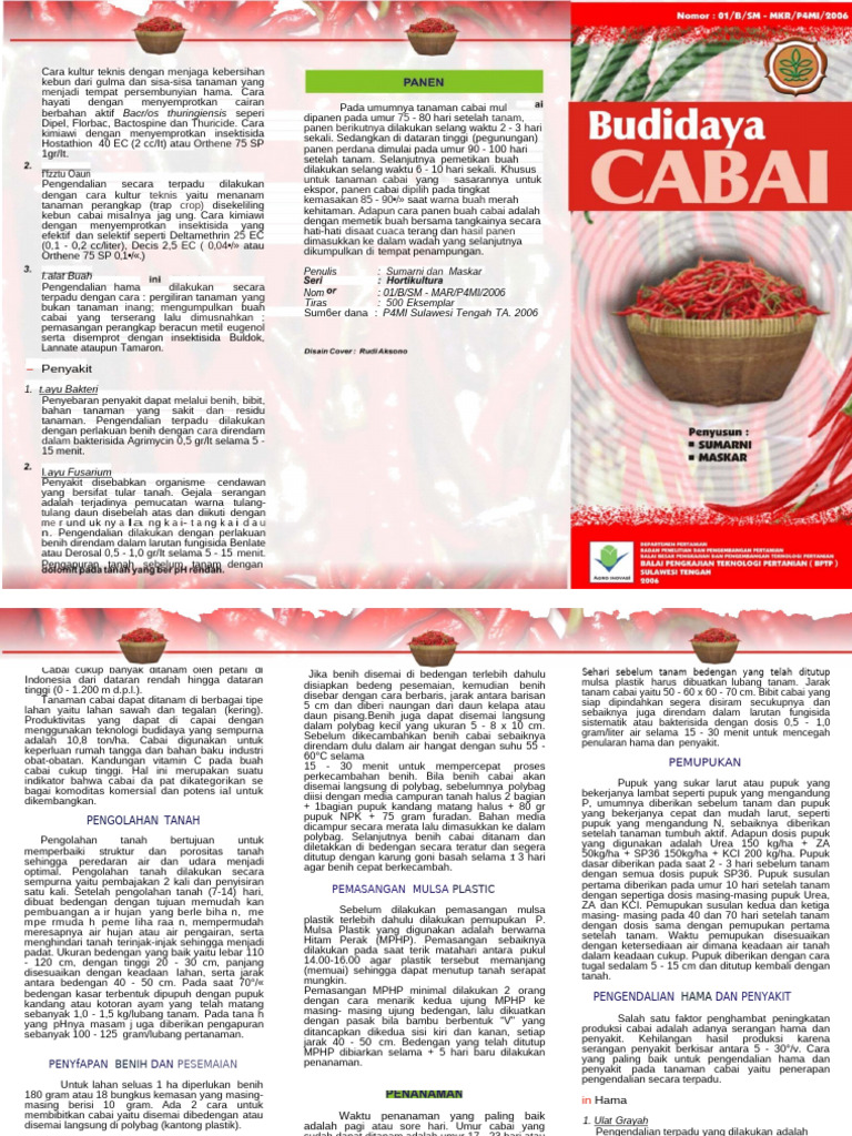 06 Budidaya Cabai | PDF