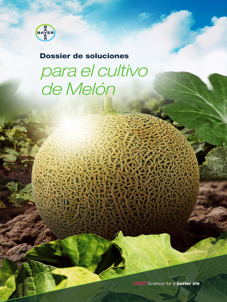 Sodif Melon | PDF | Insecticida | Pesticida