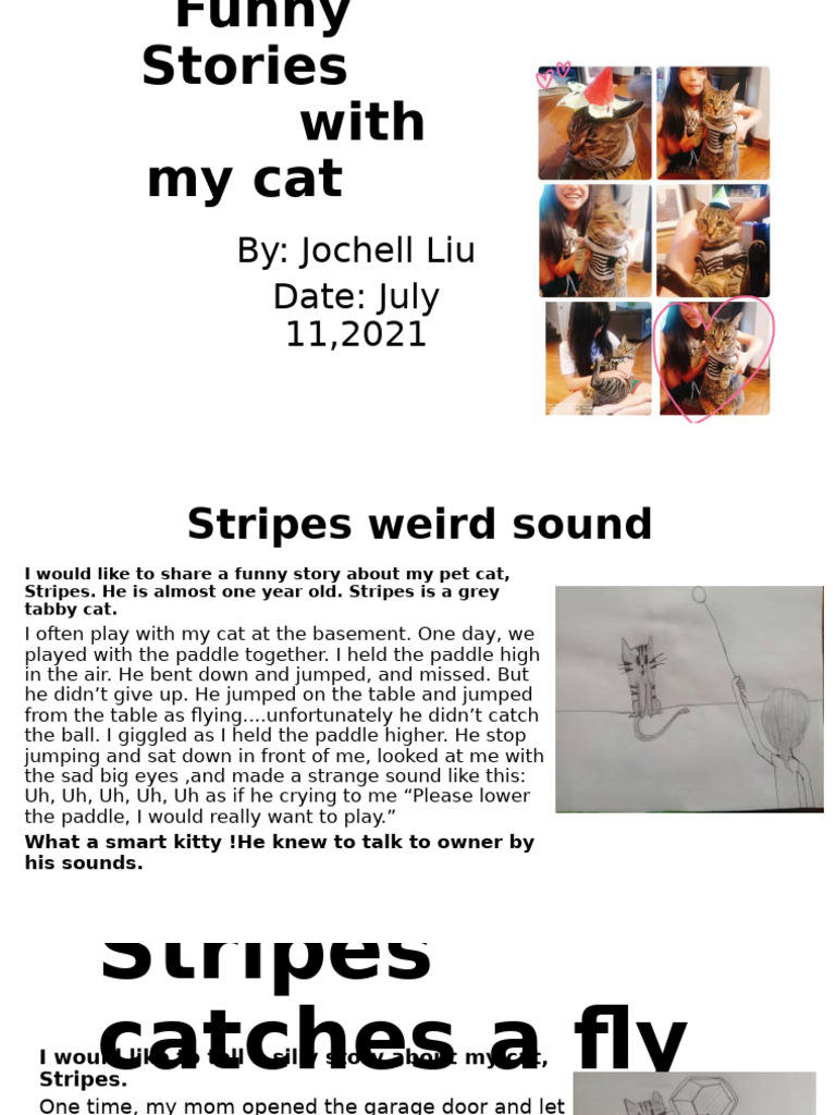 Cat Tales for Pet Lovers | PDF