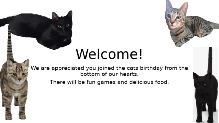 Program For Cats Birthday | PDF