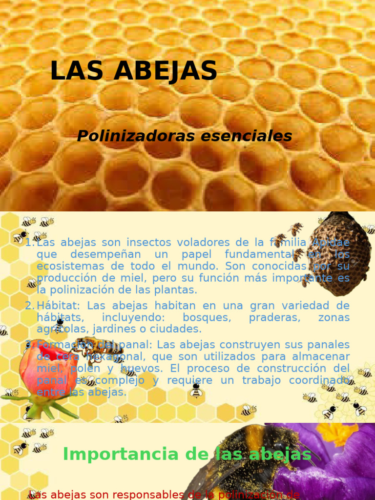 Hábitat y protección de las abejas | PDF | Tecnología